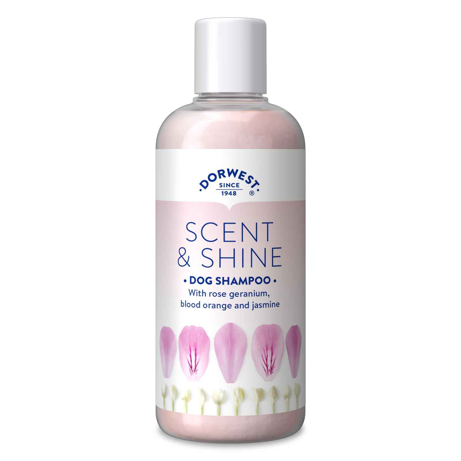 Shampoing naturel pour chien doux et parfumé Dorwest